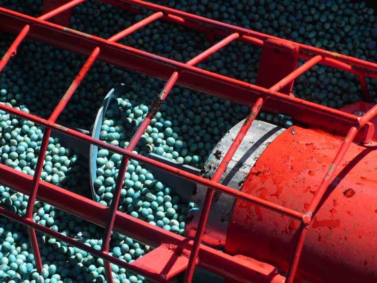 cup flighting in action - Elmer's Flighting